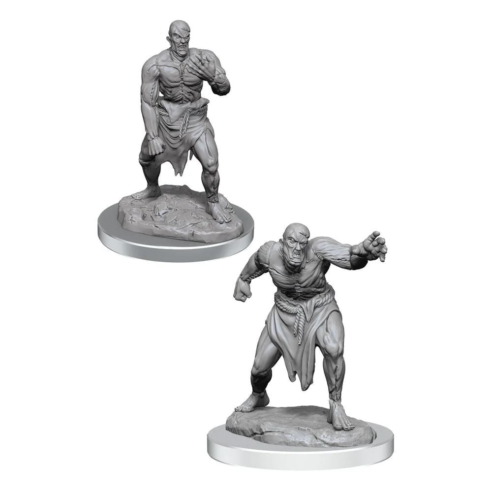 Dungeons & Dragons Nolzur's Marvelous Miniatures: Flesh Golems | imago.cz