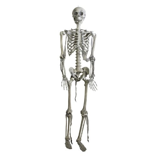 Kostlivec | imago.cz