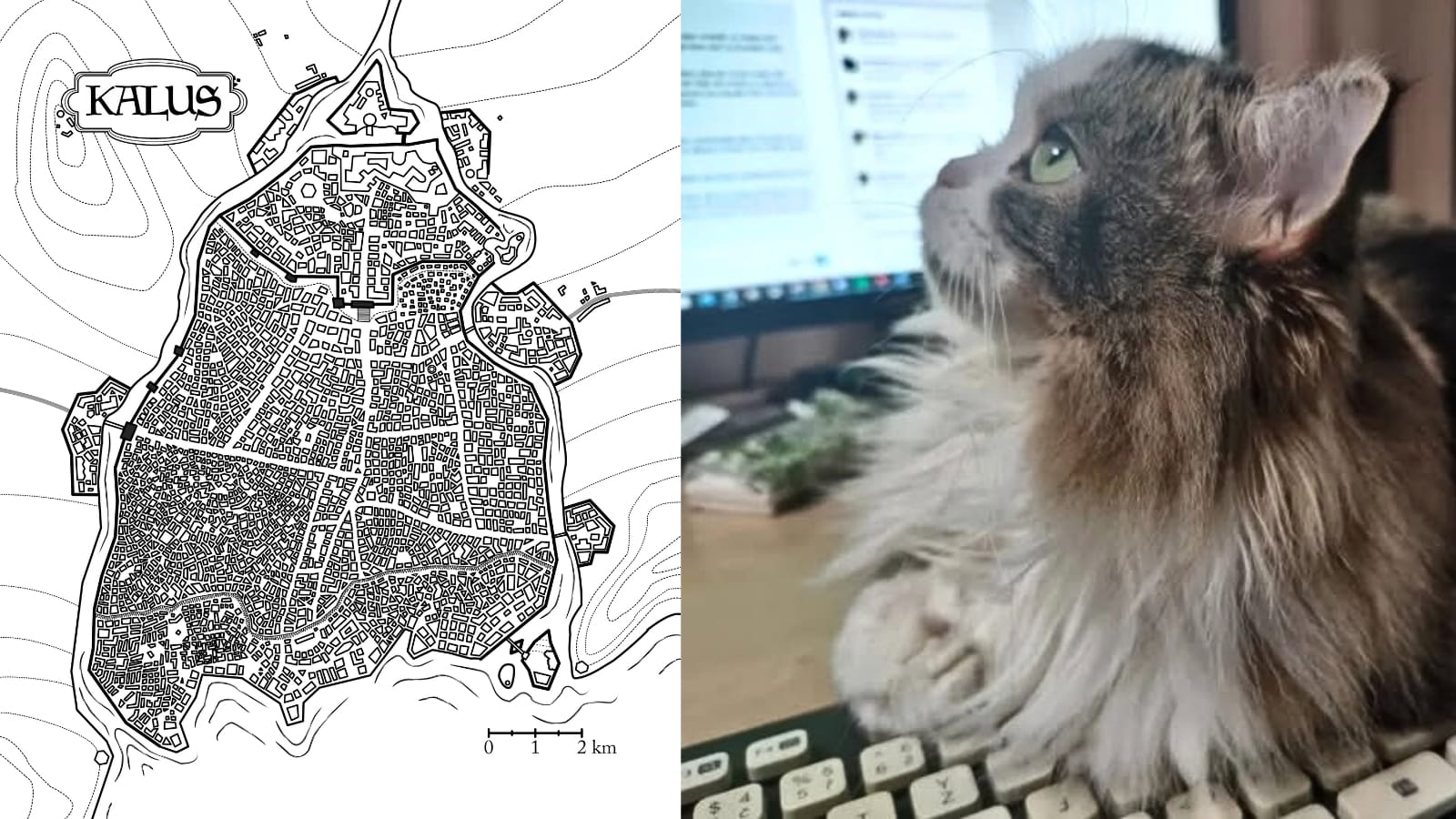 Záhady města Kalus: Rozhovor s autorkou obří RPG kampaně | imago