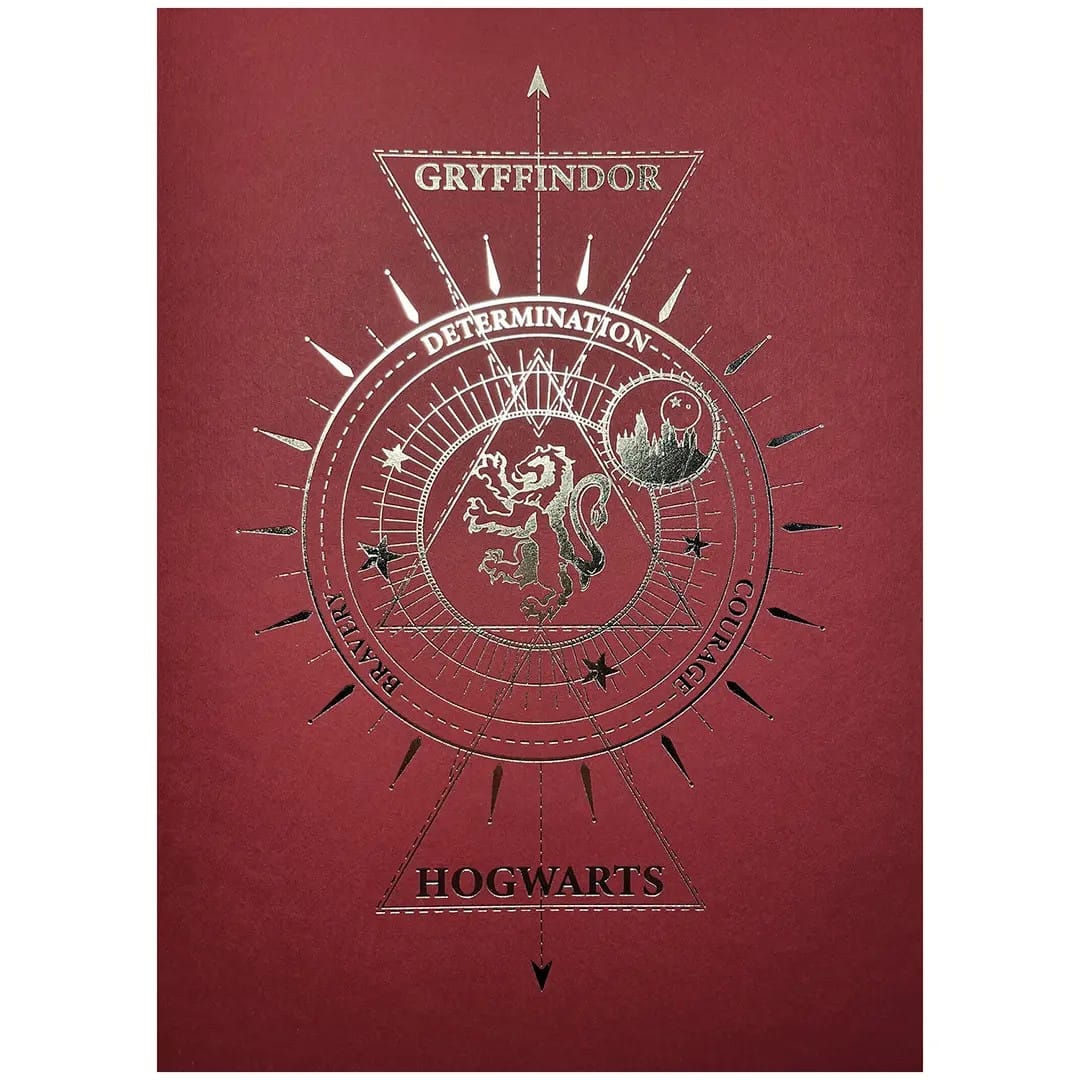 Obraz Harry Potter - Nebelvír | imago.cz